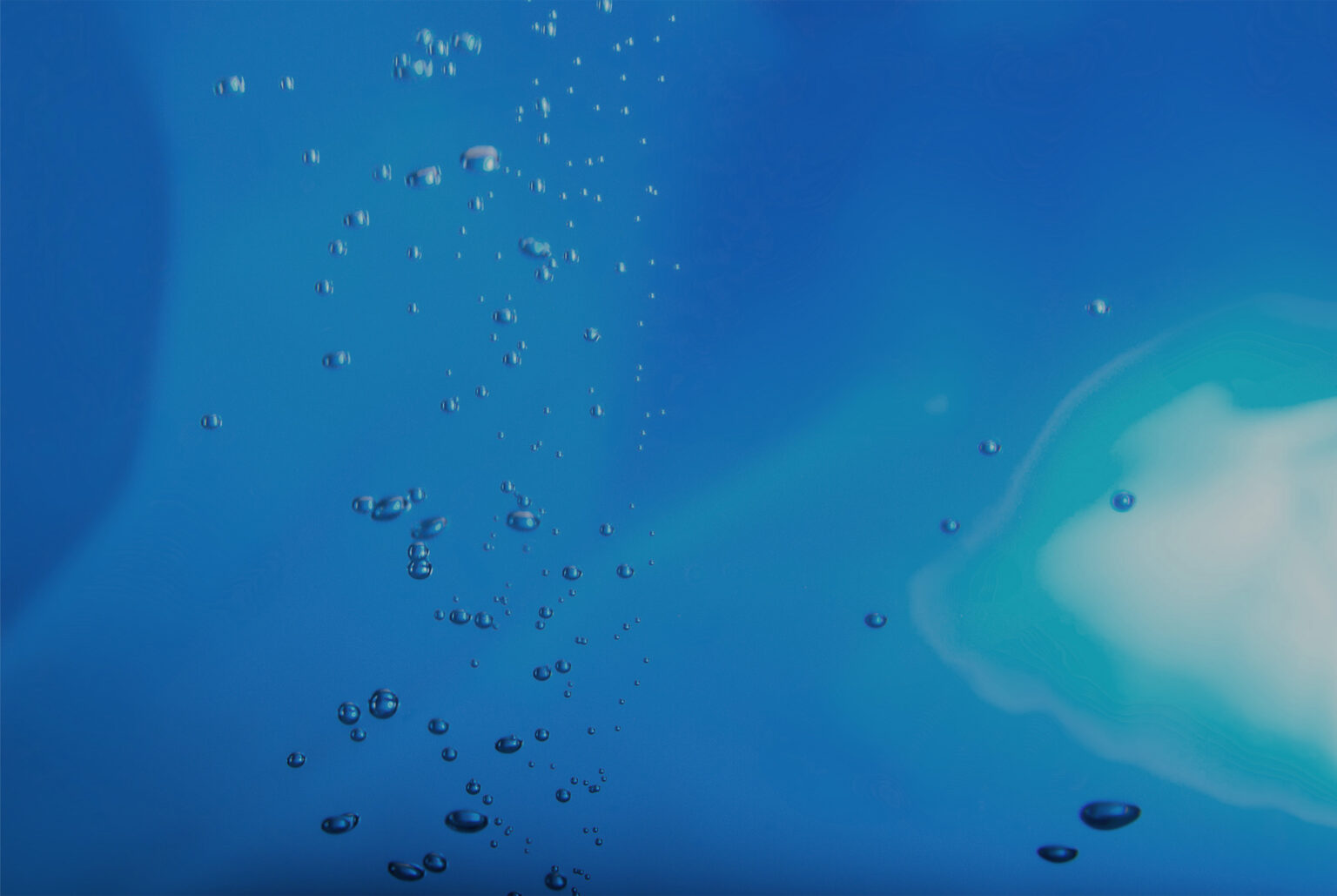 Ballast Water Analysis / Technos Mihara Corporation